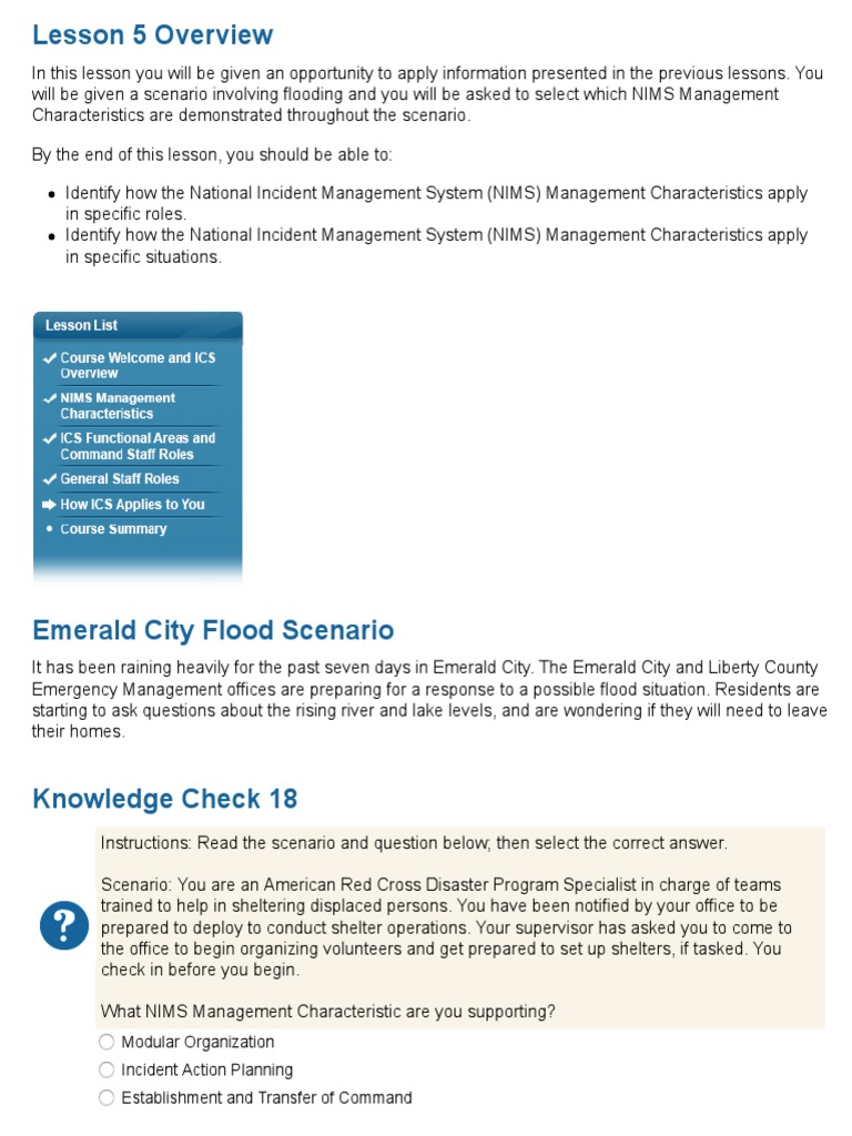 FEMA Lesson 5 Overview | PDF | Incident Command System | Nursing Home Care