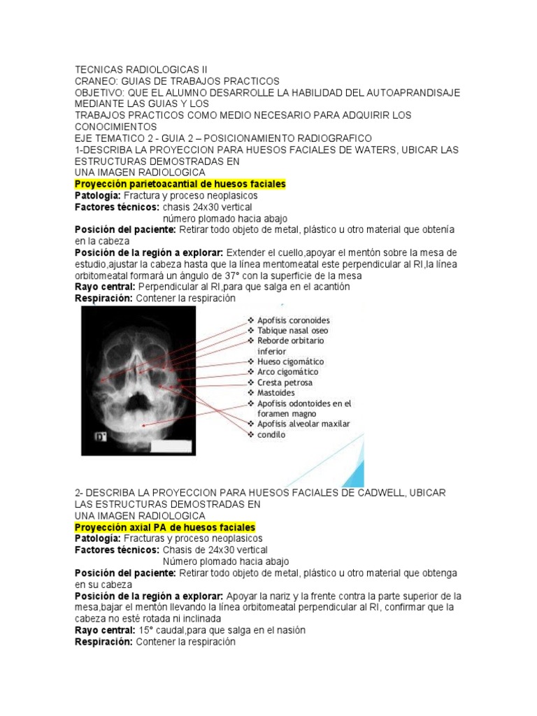 Tecnicas Radiologicas Ii | PDF | Cabeza y cuello humanos | Sistema ...