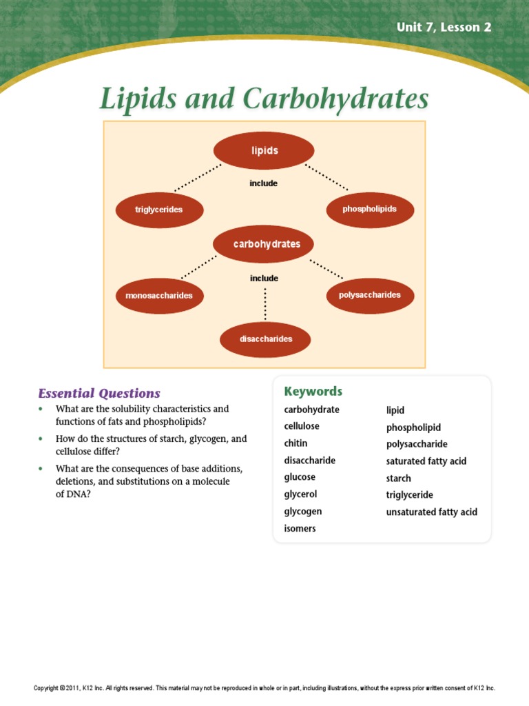 Lipids and Carbohydrates PDF | PDF | Polysaccharide | Carbohydrates