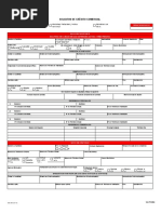 Ficha de Datos Complementarios - CDR | PDF