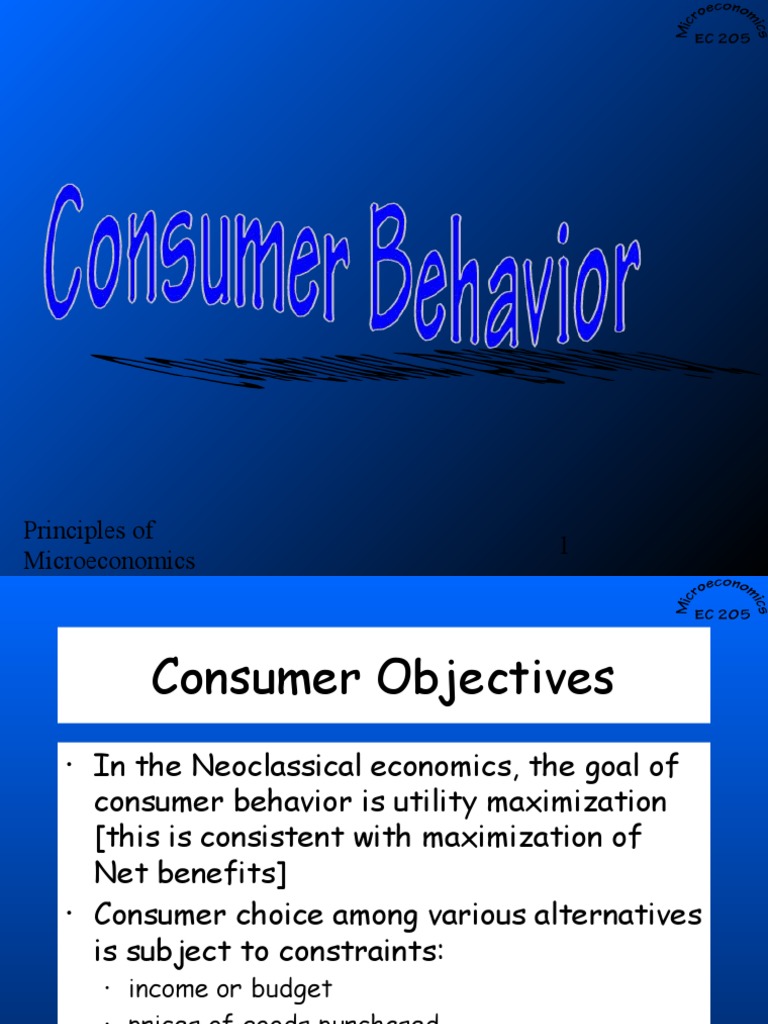 Consumer Behaviour Pdf Economic Surplus Utility