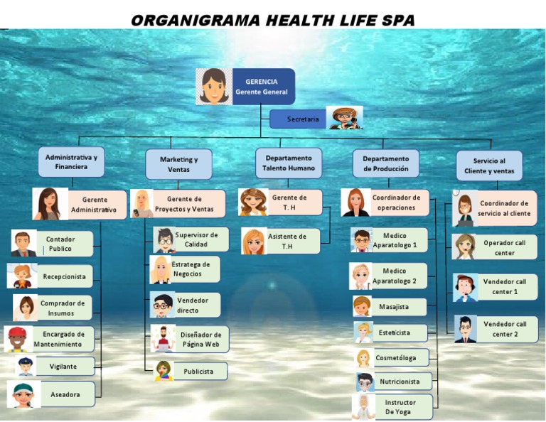 Organigrama Spa | Descargar gratis PDF | Microeconomía | Negocios ...
