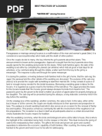 Lasallian Core Values | PDF | Career & Growth