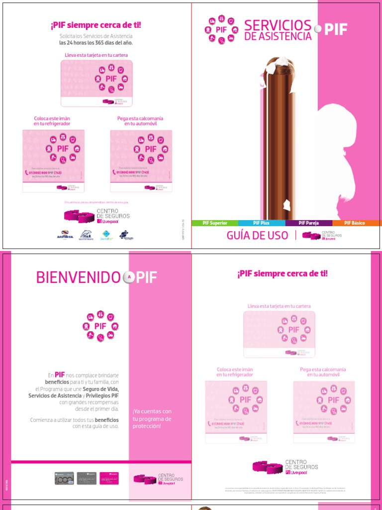 Guia PIF | PDF | Odontología | Seguro