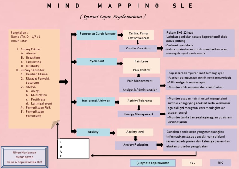 Mind Mapping Sle Punya Niken | PDF