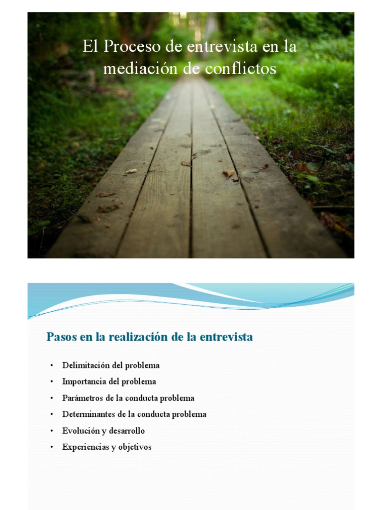 El Proceso de La Entrevista en La Mediación de Conflictos | PDF ...