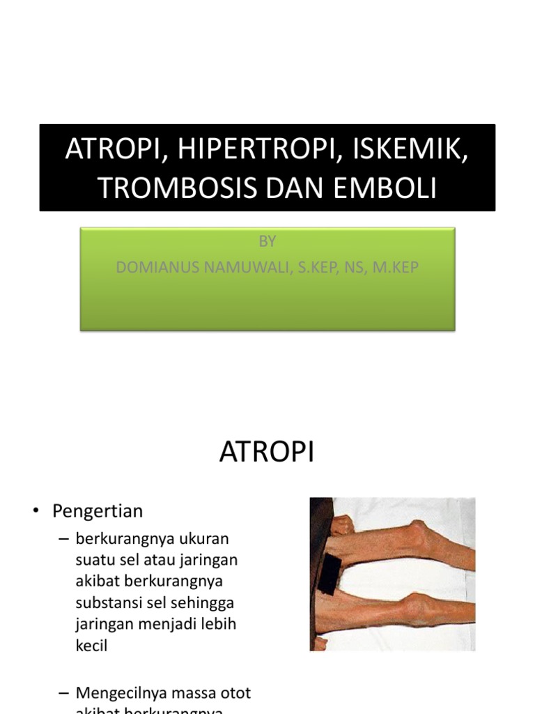 Atropi dan Hipertrofi: Penjelasan | PDF | Pengembangan Diri | Kesehatan ...
