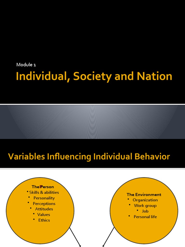Individual Roles in Society and Nation | PDF | Socialization | Self