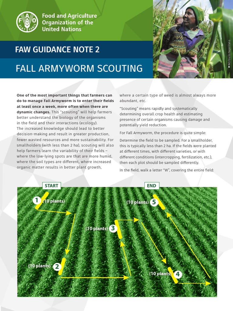 FAW-Guidance Note-2 PDF | PDF | Predation | Food And Agriculture ...