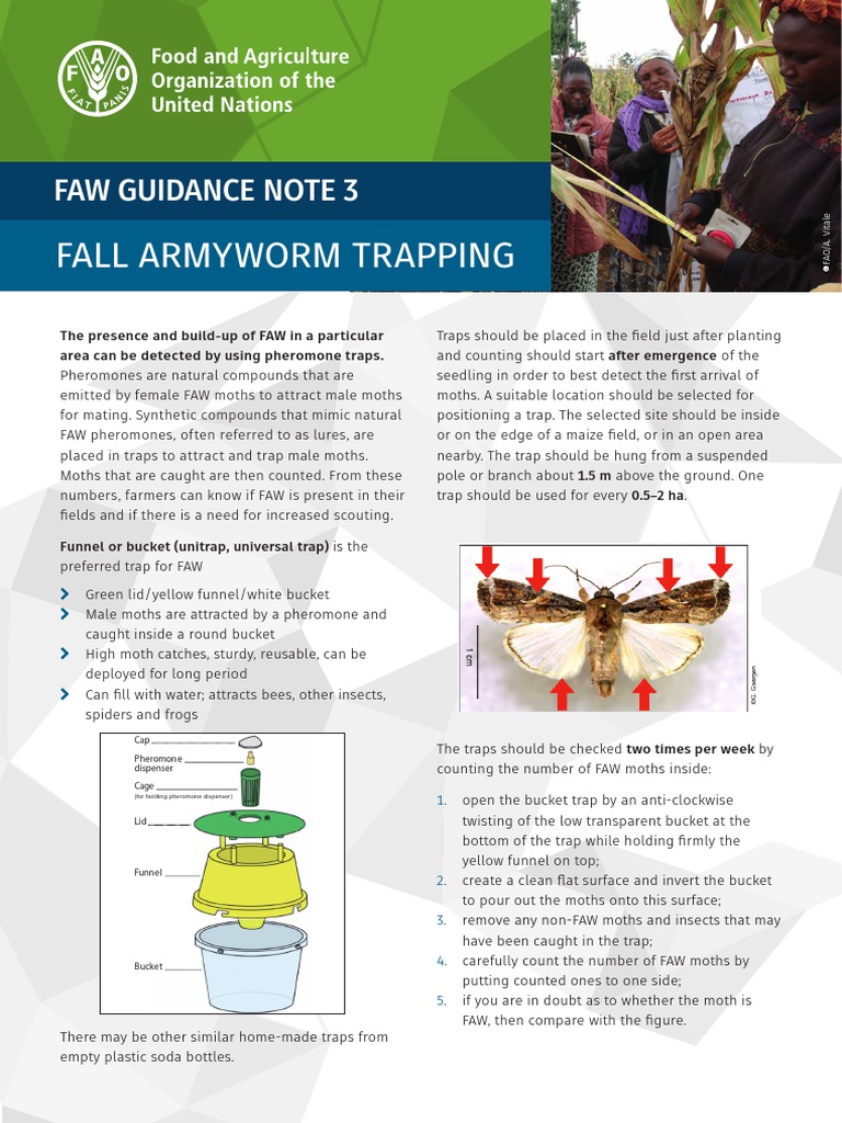 FAW-Guidance Note-3 PDF | PDF | Pheromone | Nature