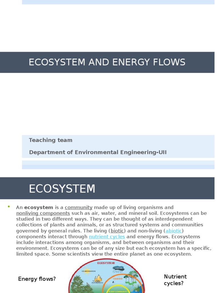 Ecosystem and Energy Flows: Teaching Team Department of Environmental ...