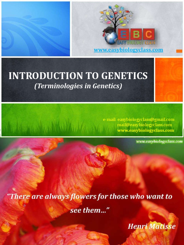 Introduction To Genetics | PDF