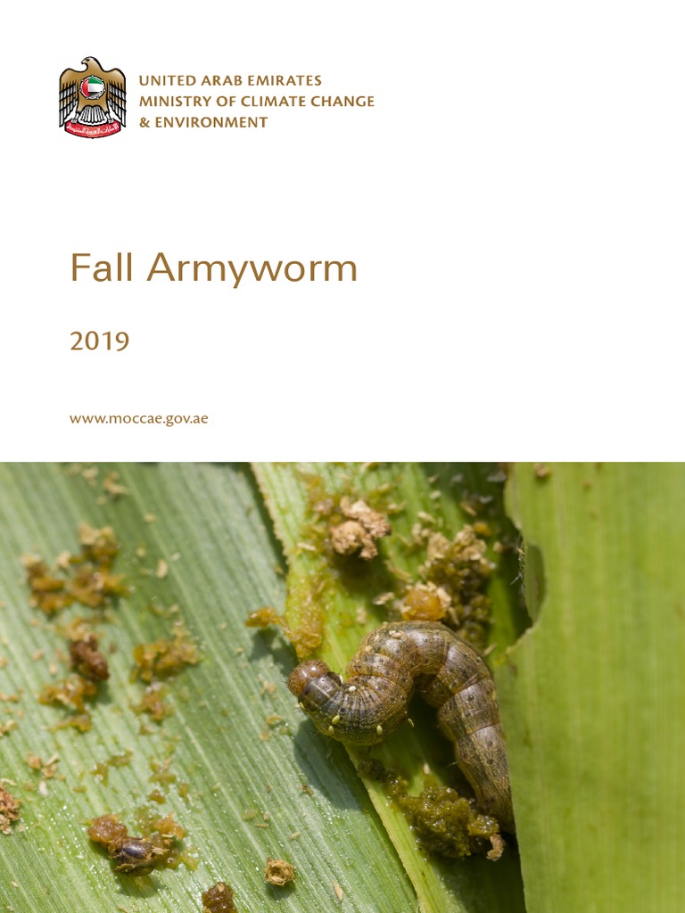 Fall Armyworm: WWW - Moccae.gov - Ae | PDF | Pupa | Insects