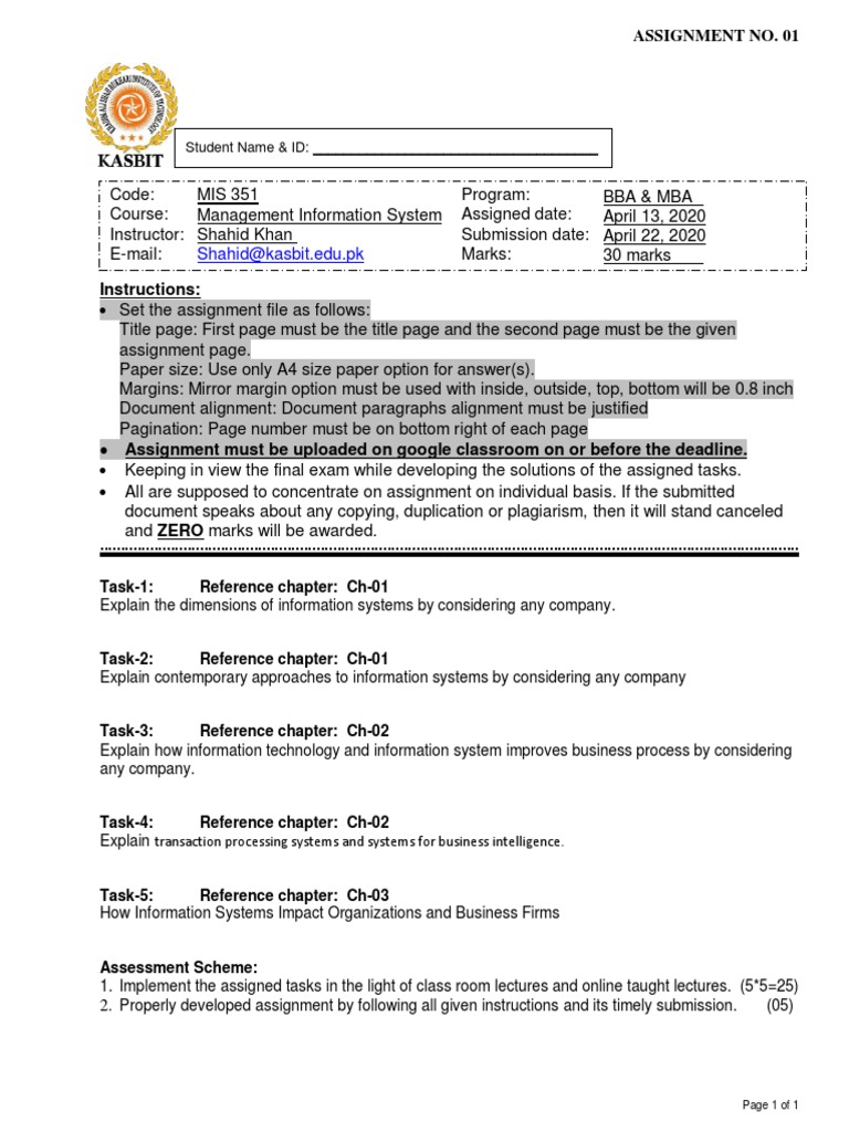 MIS 351 Assignment Guidelines and Tasks | PDF