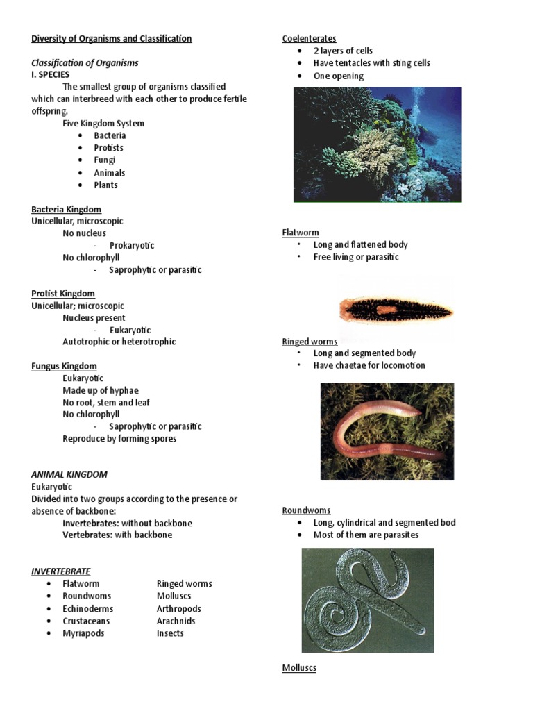 Organism Classification Guide | PDF | Plants | Invertebrate