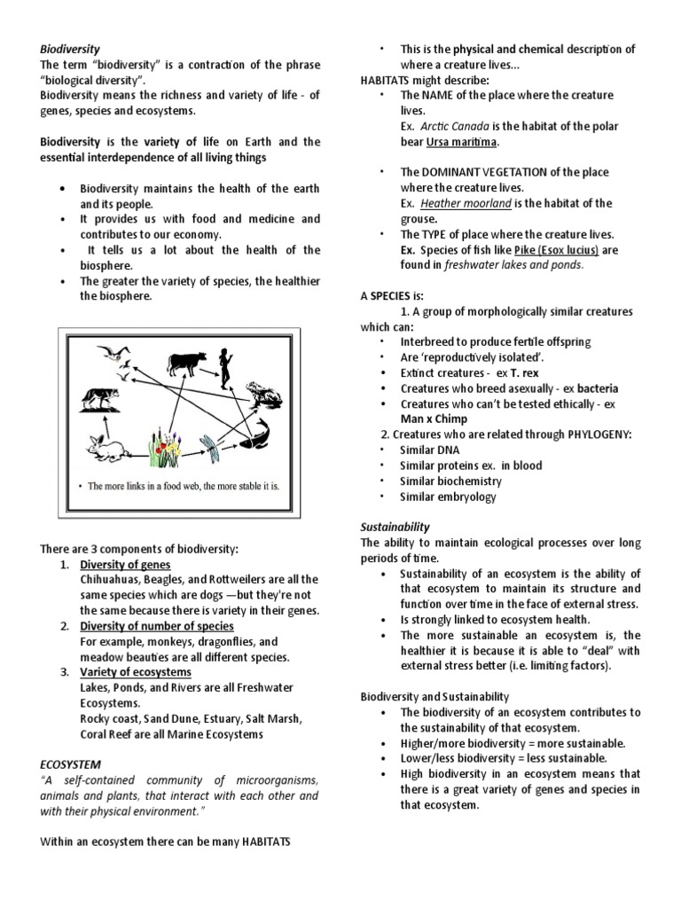 Biodiversity Is The Variety of Life On Earth and The Essential ...