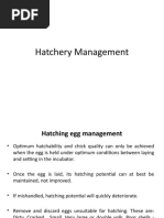 Egg Incubator User Manual PDF | PDF
