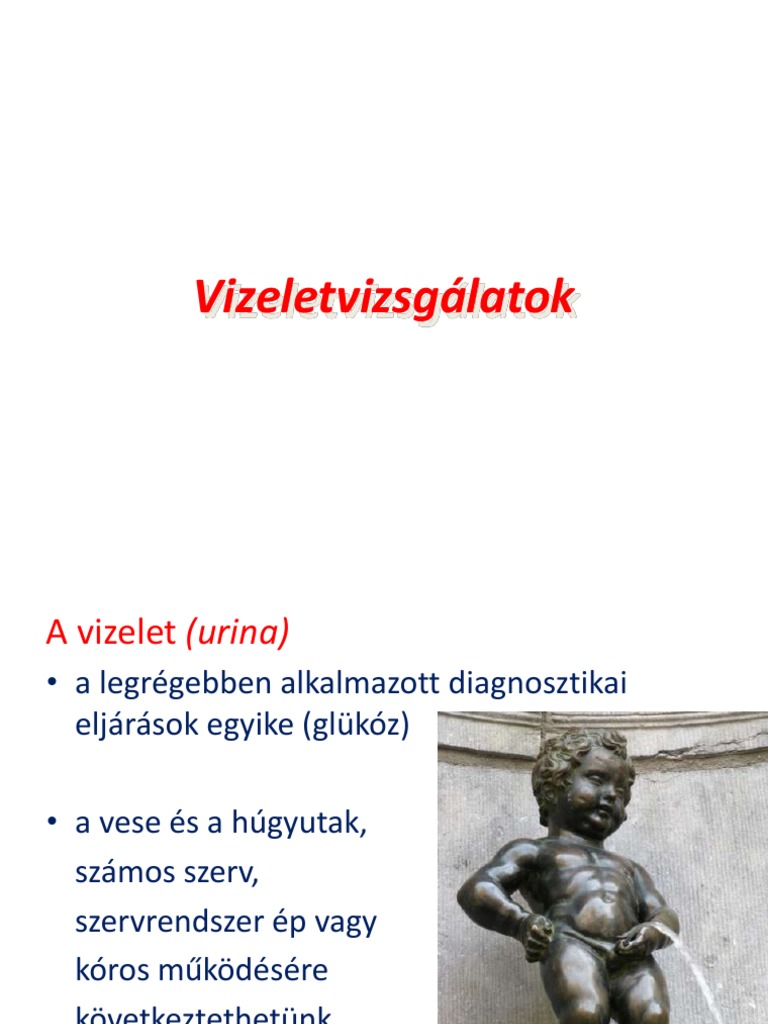 4 - Vizelet | PDF