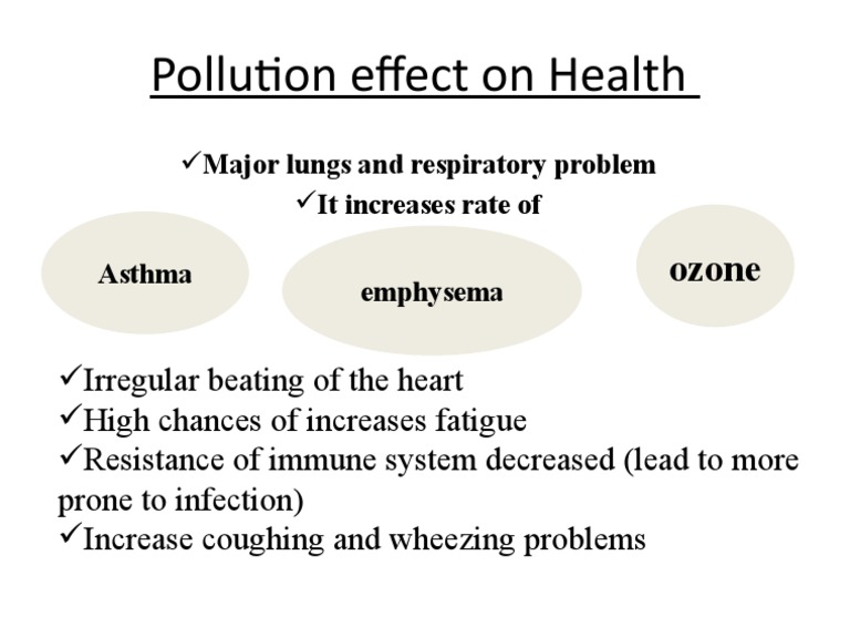 Pollution Effect On Health | PDF