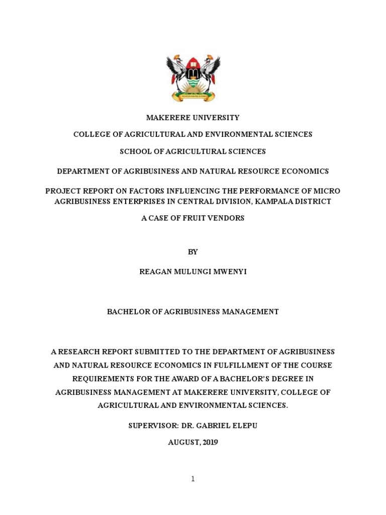 Factors Affecting Business Performance in Uganda | PDF | Small And Medium Sized Enterprises | Credit