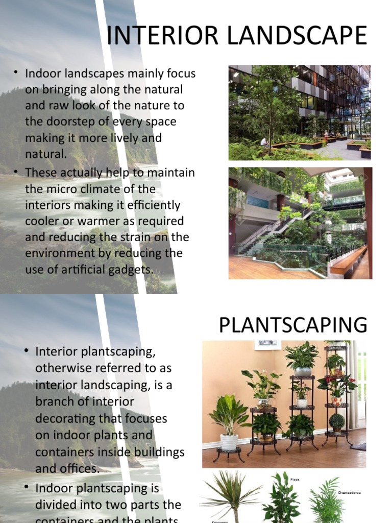 Principles and Techniques for Designing Interior Landscapes: A Guide to ...