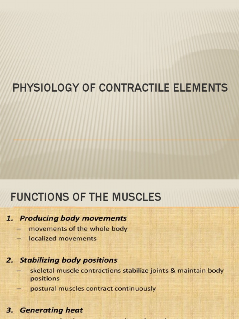 Physıology of Muscles | PDF