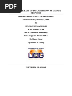 QET Sample Paper | PDF | University | Essays