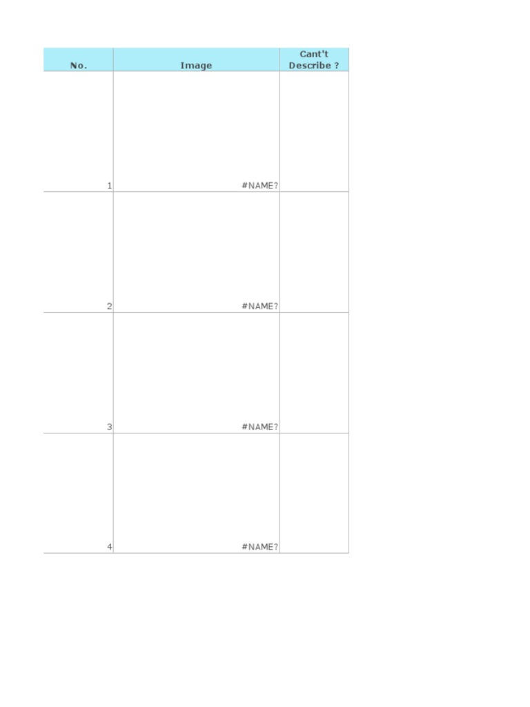 T1-Image Description Template - WIP | PDF