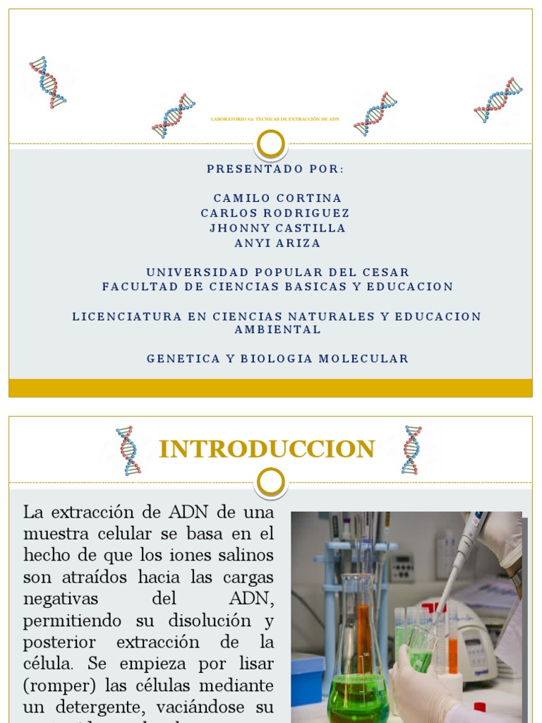 Sustentacion Extraccion de Adn. | PDF | Adn | Biología Celular)