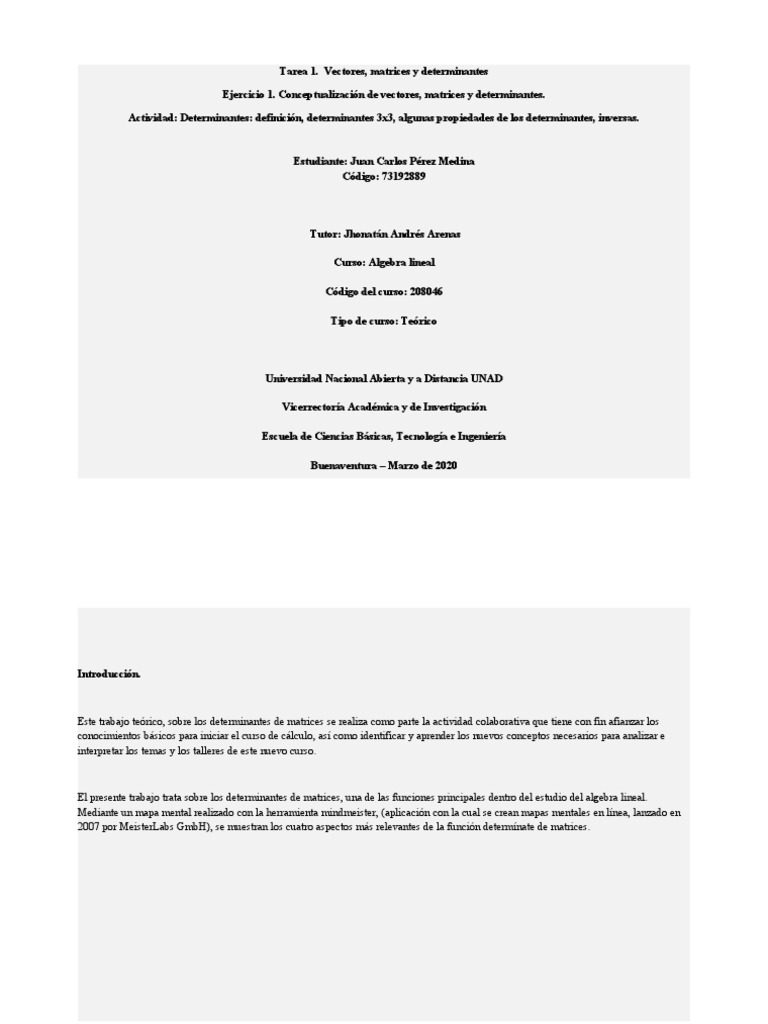 Mapa Mental t1 E1 | PDF | Determinante | Álgebra lineal