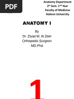 Dr. Tan's Balance Method | PDF | Human Leg | Acupuncture