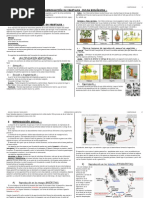 Reproducción de Plantas Plus | PDF | Musgo | Flores