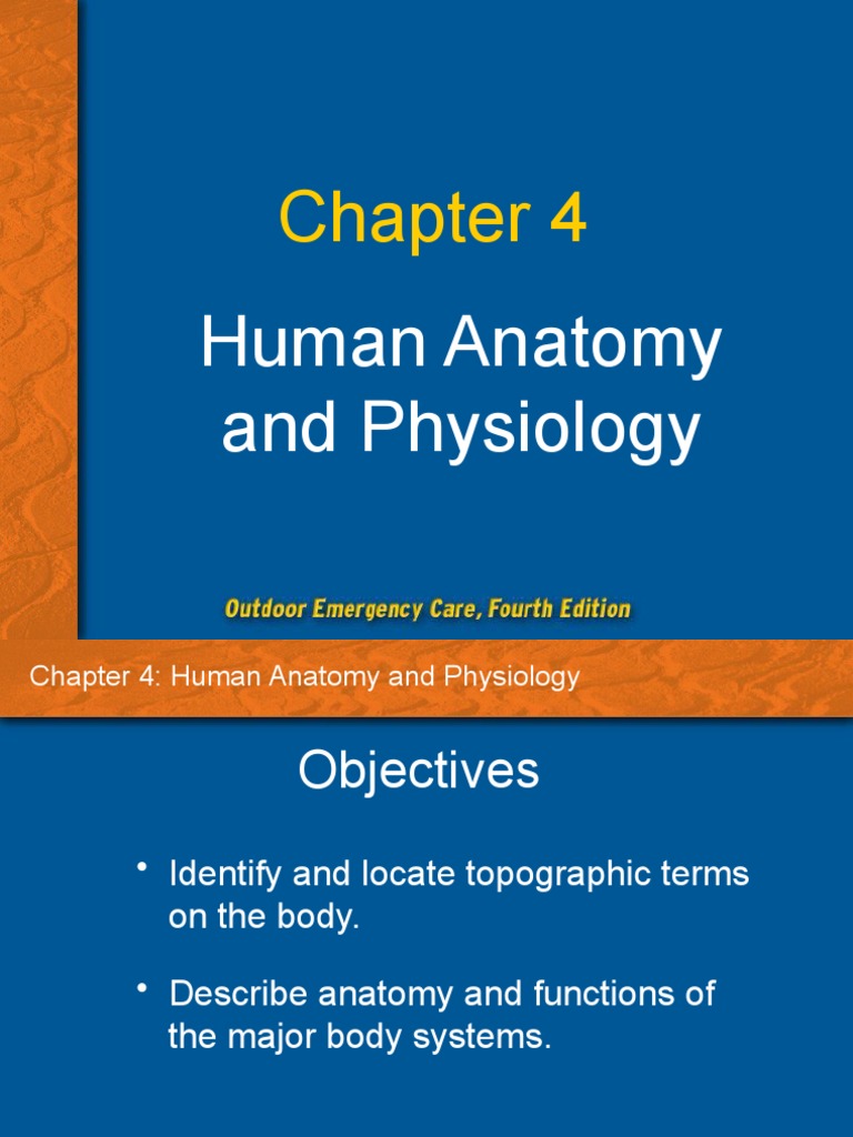 Human Anatomy and Physiology | Download Free PDF | Human Body ...