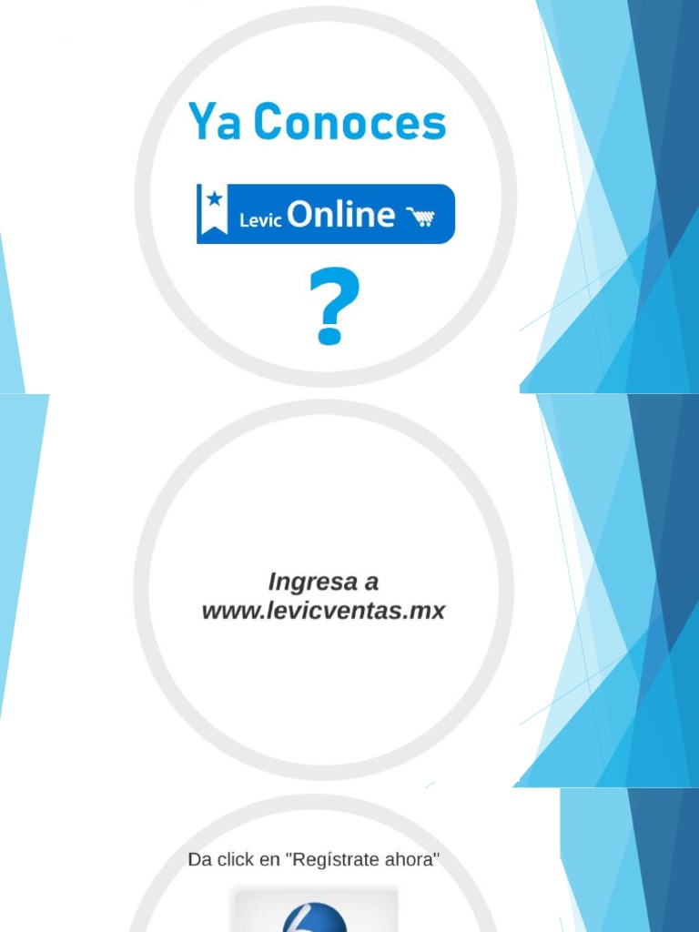 Guia Levic Online | PDF