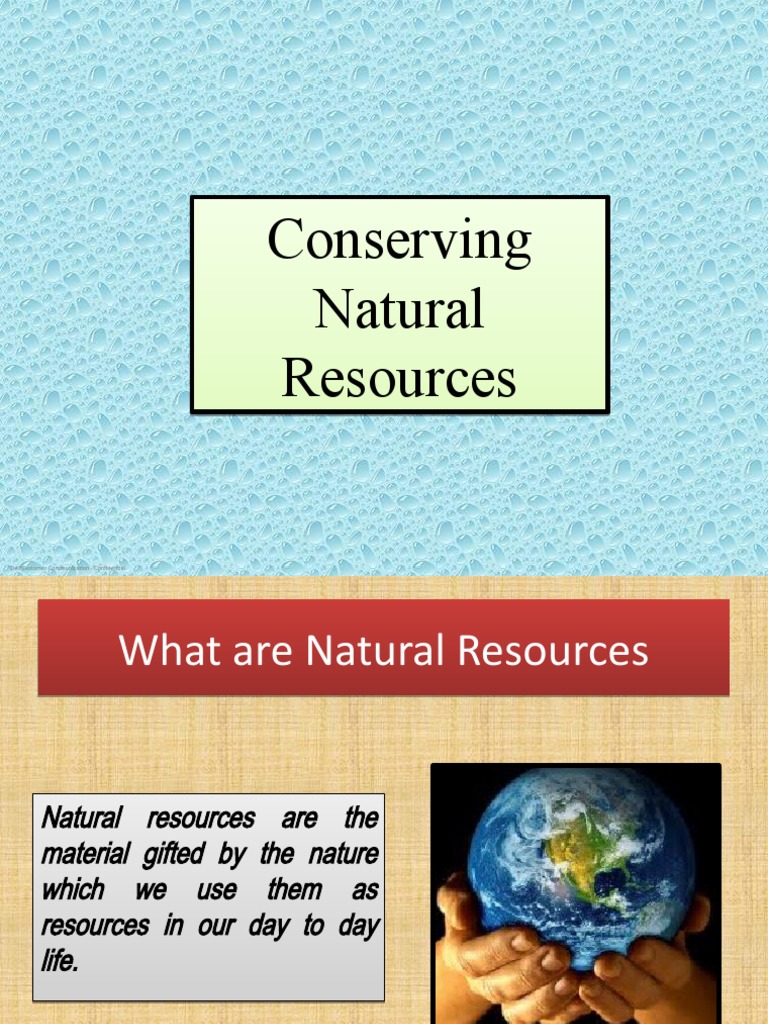 Conserving Natural Resources | PDF | Plants | Conservation Biology