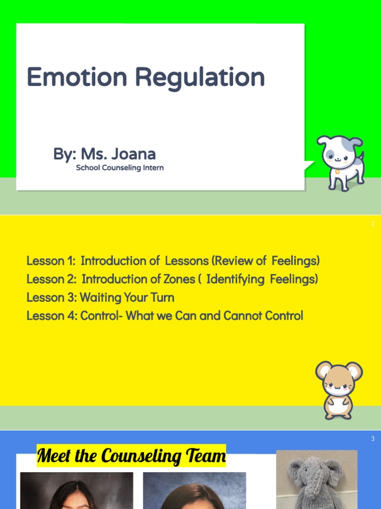Emotion Regulation Lesson Presentation | PDF