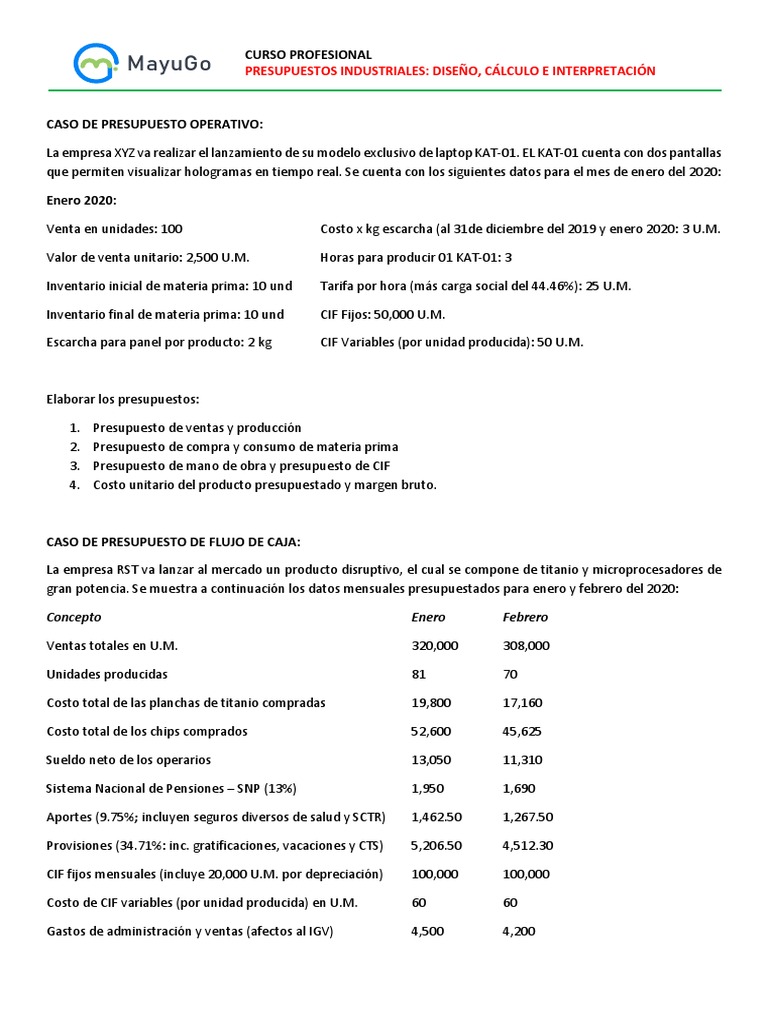 Caso 1 - Presupuestos Industriales | PDF | Presupuesto | Economias