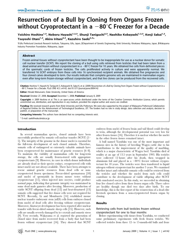 Resurrection of A Bull by Cloning From Organs Frozen Without ...