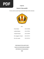 Modul MonsoonSIM | PDF