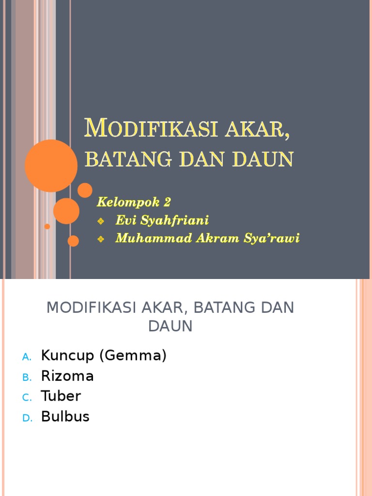 Modifikasi Akar, Batang, dan Daun Tumbuhan | PDF