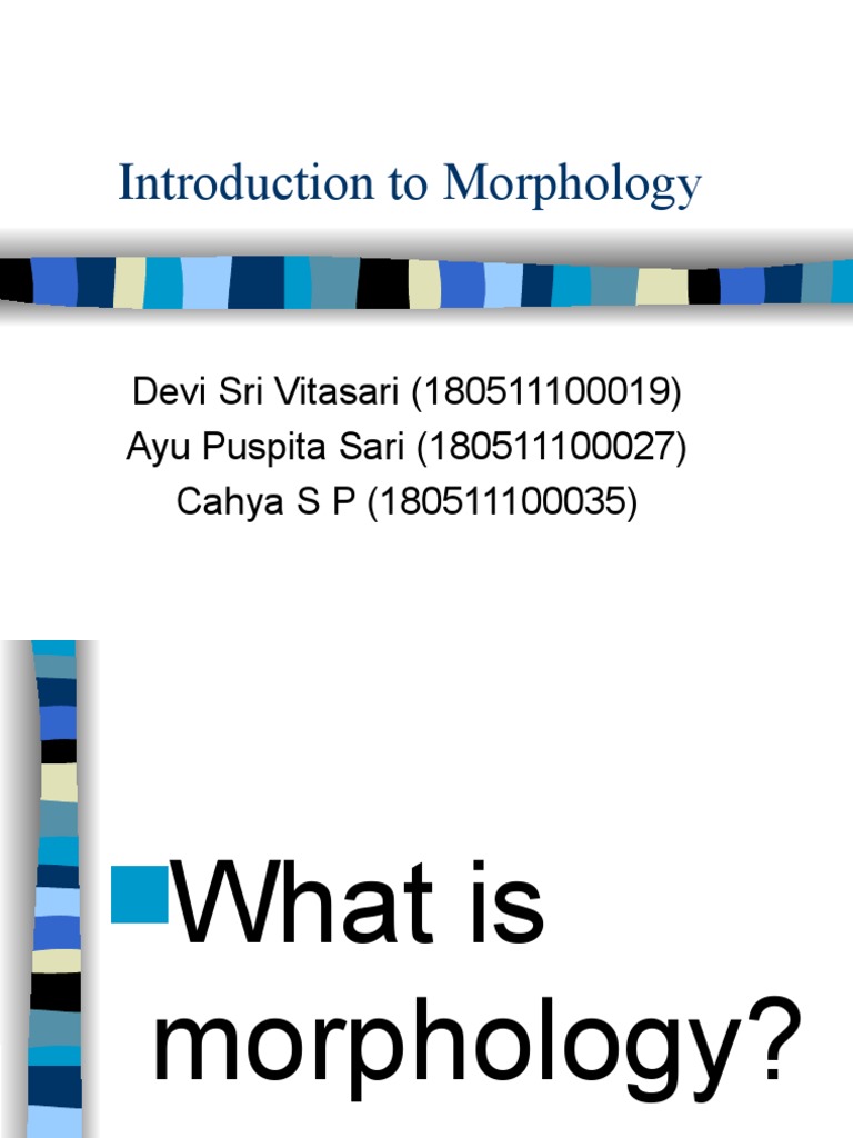 Morphology Basics for Linguistics Students | PDF | Morphology ...