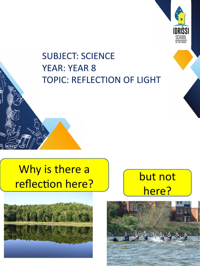 Reflection of Light | PDF | Reflection (Physics) | Mirror