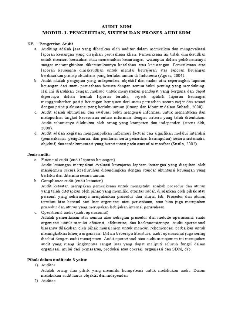 Catatan Audit SDM | PDF