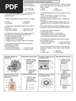 Soal Ulangan IPA KELAS 8 SISTEM PERNAFASAN | PDF