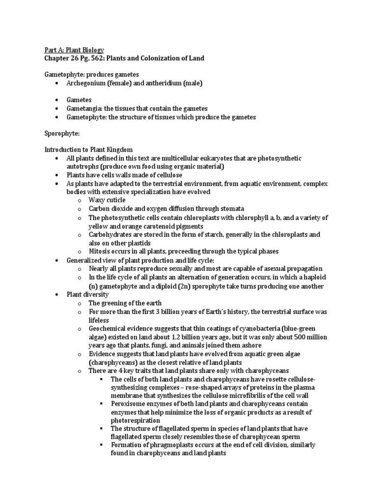 Chapter 26 Pg. 562: Plants and Colonization of Land | PDF | Leaf ...