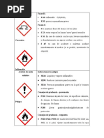 Pictograma R y S de 4 Reactivos | PDF | Cloroformo | Quemar
