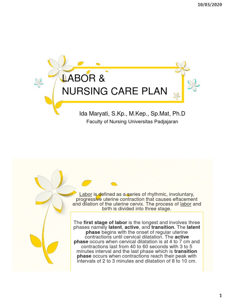 Labor Nursing Care Plans | PDF | Childbirth | Pain
