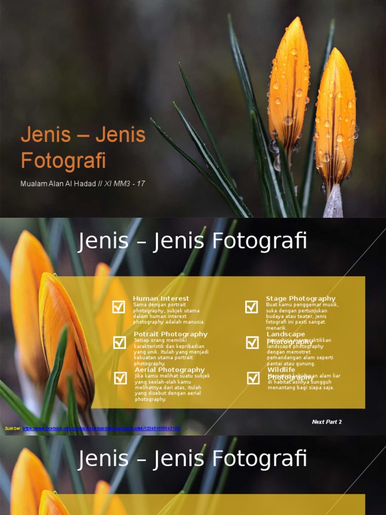 Jenis Fotografi (Mualam Alan Al Hadad) | PDF