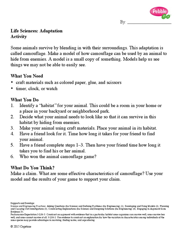 Adaptations Activity | PDF