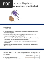 Prospecto-INMUFLU TBS - JAB | PDF | Sistema inmune | Linfocitos